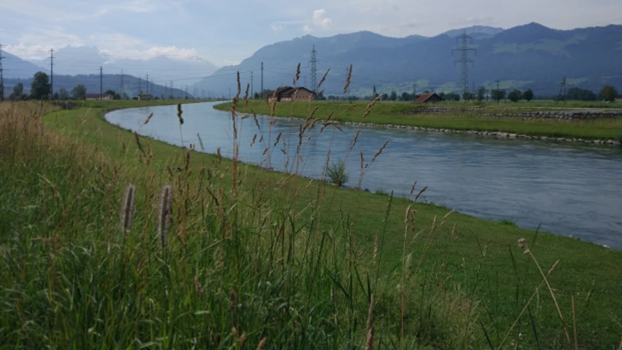 Ausflugstipps ins Linthgebiet - Treffpunkt - SRF