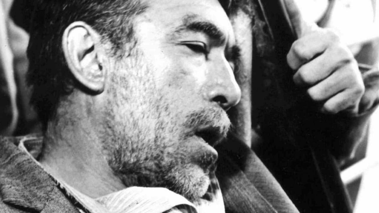 Film & Serien - Anthony Quinn: Der Mann, der den Zampano zum Sprichwort ...