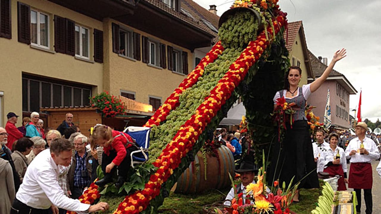 Aargau Solothurn - Winzerfest Döttingen mit 48'000 Besuchern - News - SRF