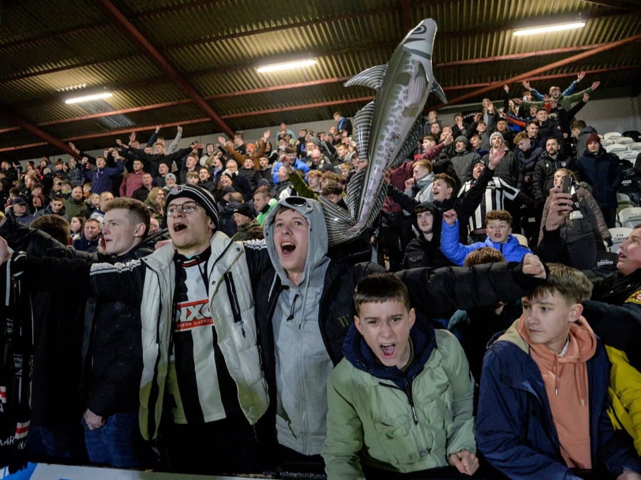 Maskottchen «Harry Haddock» - Southampton will keine aufblasbaren ...