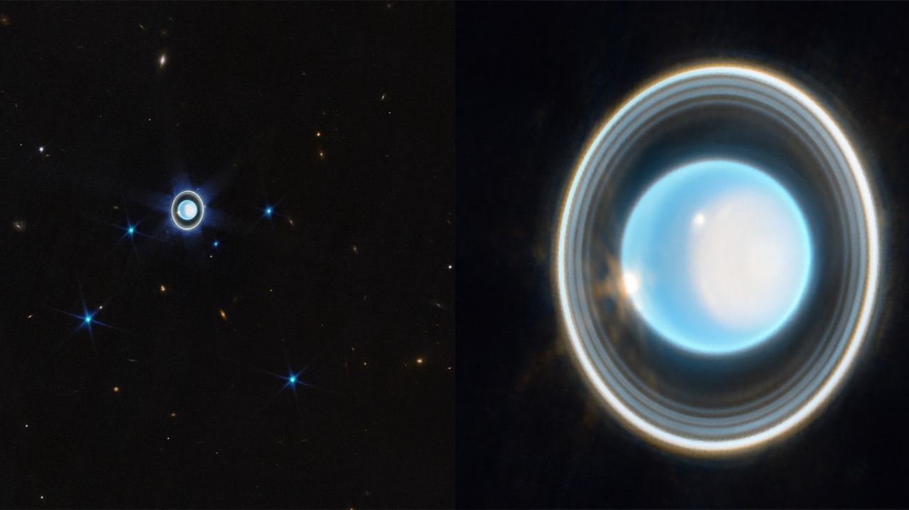 Neues vom James-Webb-Teleskop - Nasa: «Uranus hat noch nie besser ausgesehen, wirklich ...