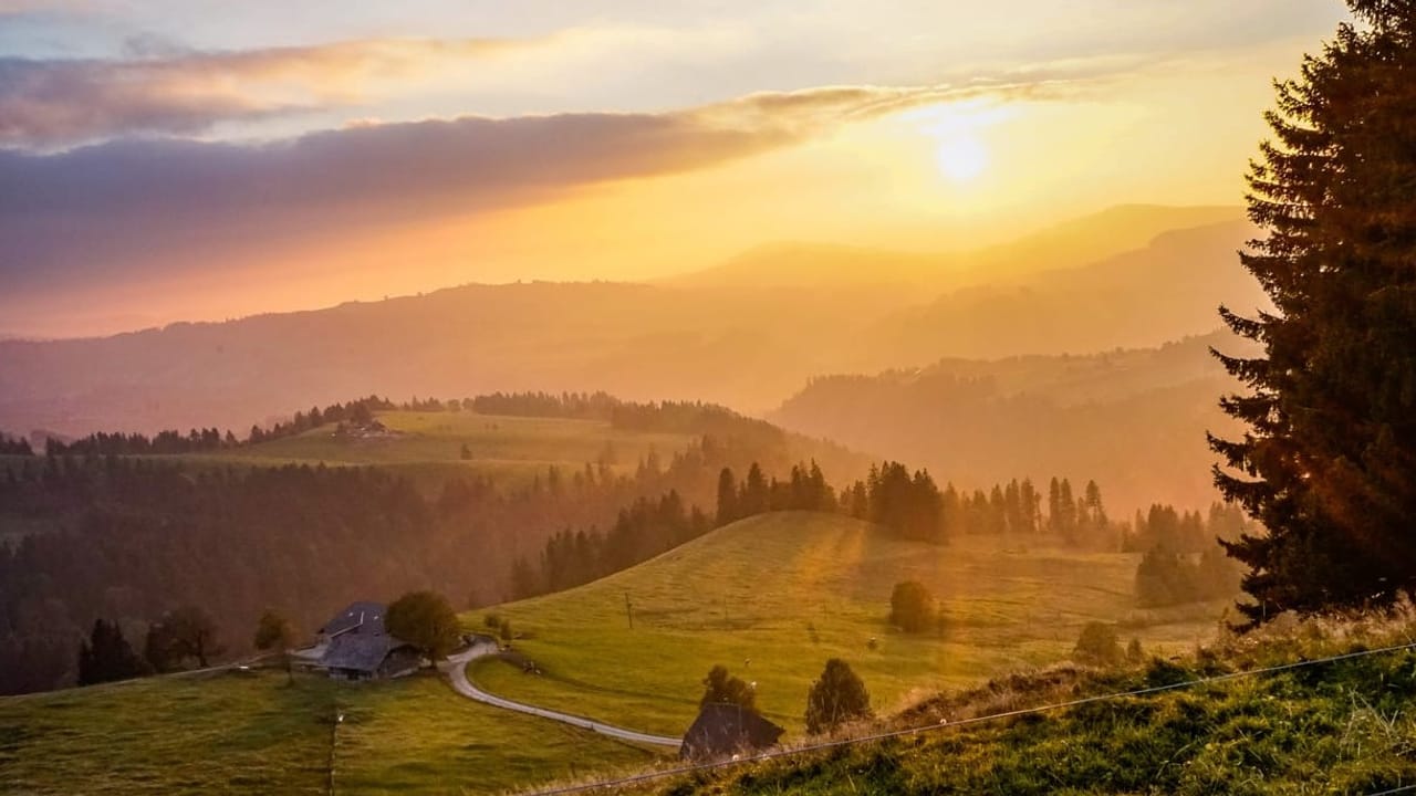 Goldenes Herbstwochenende - Die schönsten Bilder - Meteo - SRF