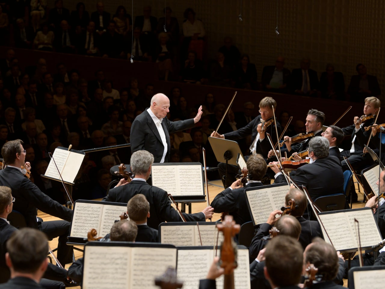 Musiker vor der Kamera - «Ein gutes Foto ist wie Musik – mit Rhythmus ...