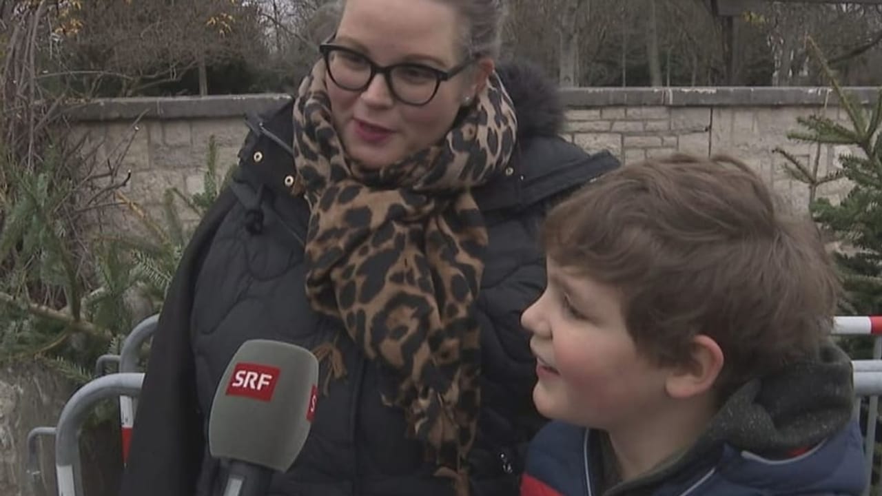 Projekt für Nachhaltigkeit - Basel macht aus alten Weihnachtbäumen ...