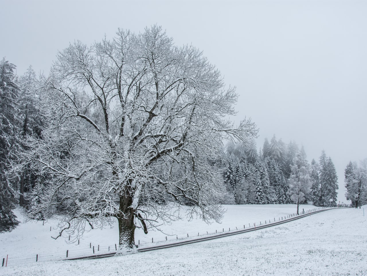 Bildergalerie - Schnee - Meteo - SRF