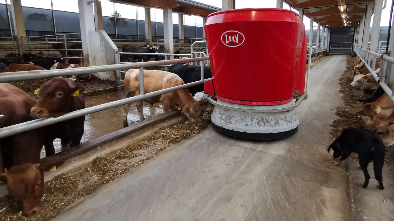 Digitalisierung - 300 Tiere und nur ein Bauer: Der digitalste Stall ...