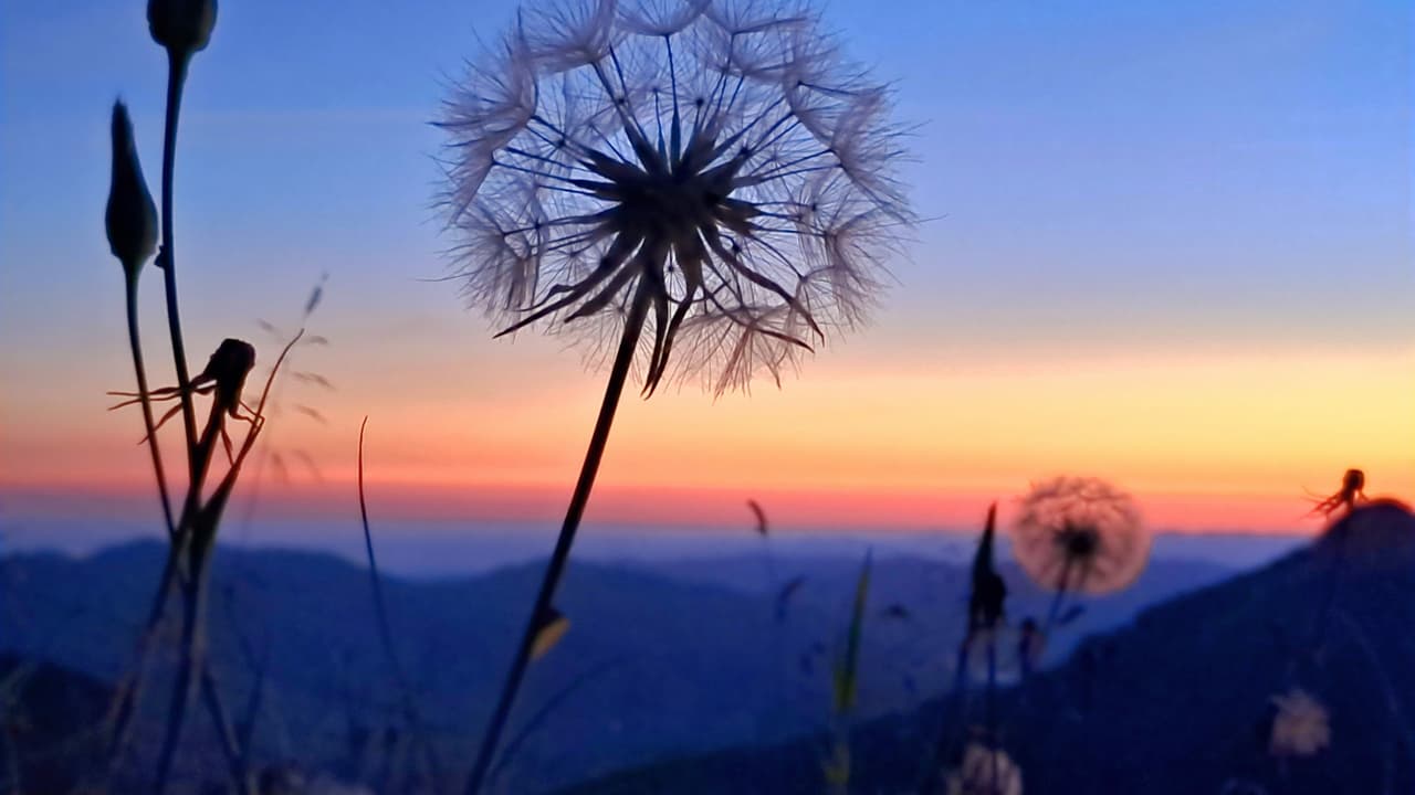 Bild des Monats - Das schönste Wetterbild des Monats August ist gewählt ...