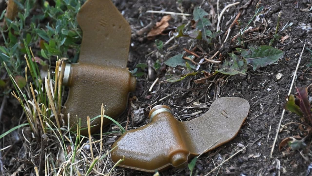 Mineneinsatz in der Ukraine - Wieso die verbotenen Schmetterlingsminen ...