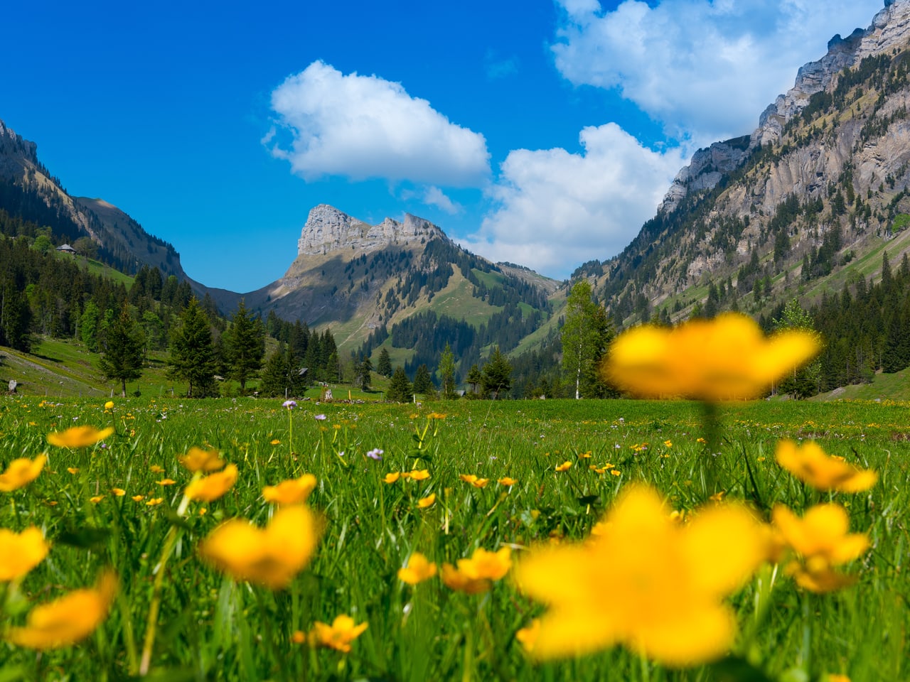 Sommer-Tipps - Sommerwetter lädt zu Ausflügen - Meteo - SRF Sommer-Tipps - Sommerwetter lädt zu Ausflügen - Meteo - SRF