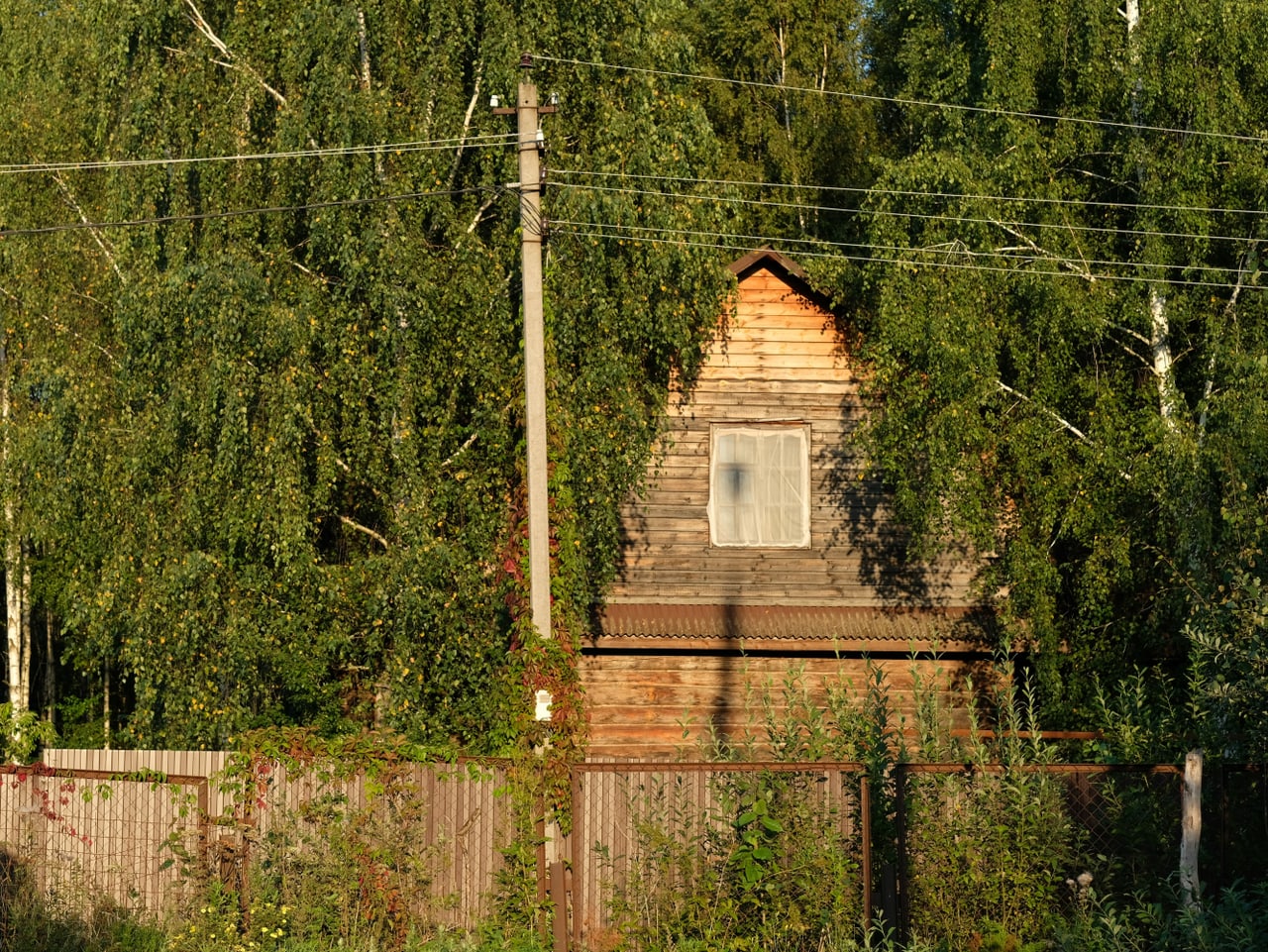 Mehr als ein Sommerhäuschen - Die Datscha – Glück auf Russisch - News - SRF