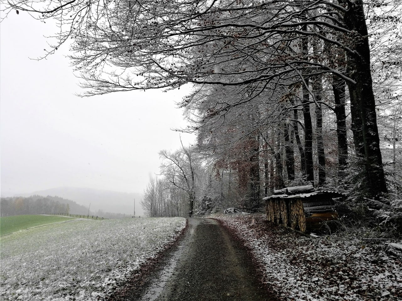 Bildergalerie - Schnee - Meteo - SRF