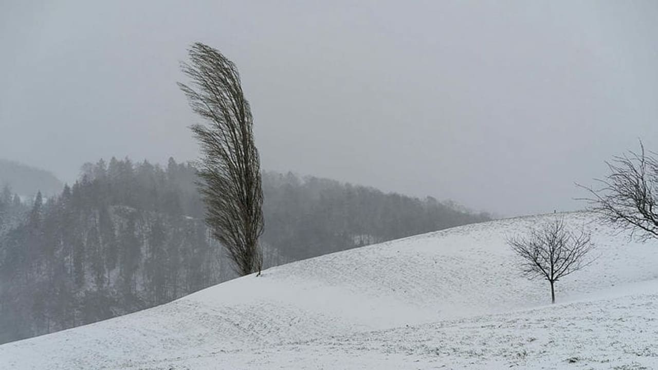 Weatherwatch - Verbreitet grosse Lawinengefahr sowie viel Regen und ... Weatherwatch - Verbreitet grosse Lawinengefahr sowie viel Regen und ...