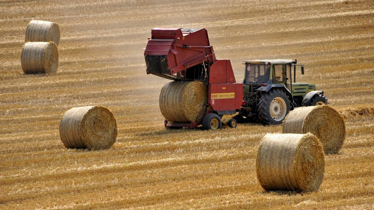 Schweiz - Schweizer Agrarwirtschaft kann umgebaut werden - News - SRF