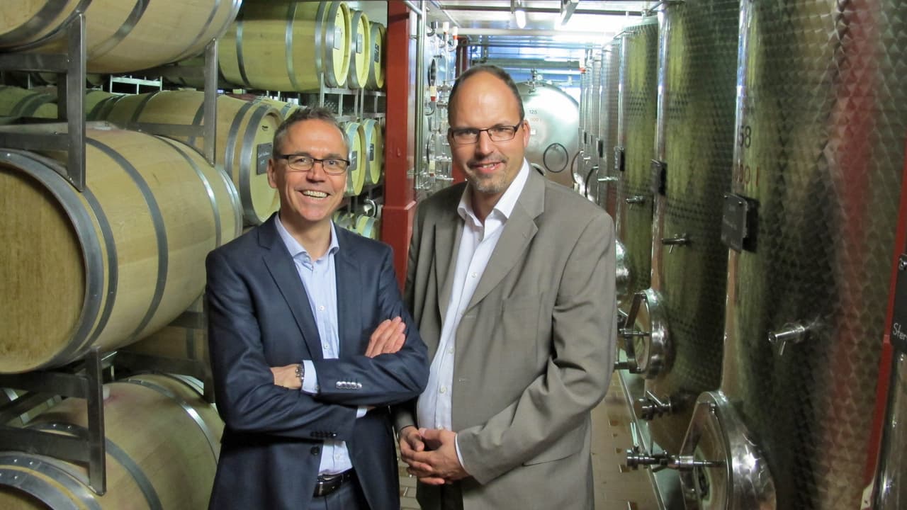 Zürich Schaffhausen - «Rimuss» soll erwachsener werden - News - SRF