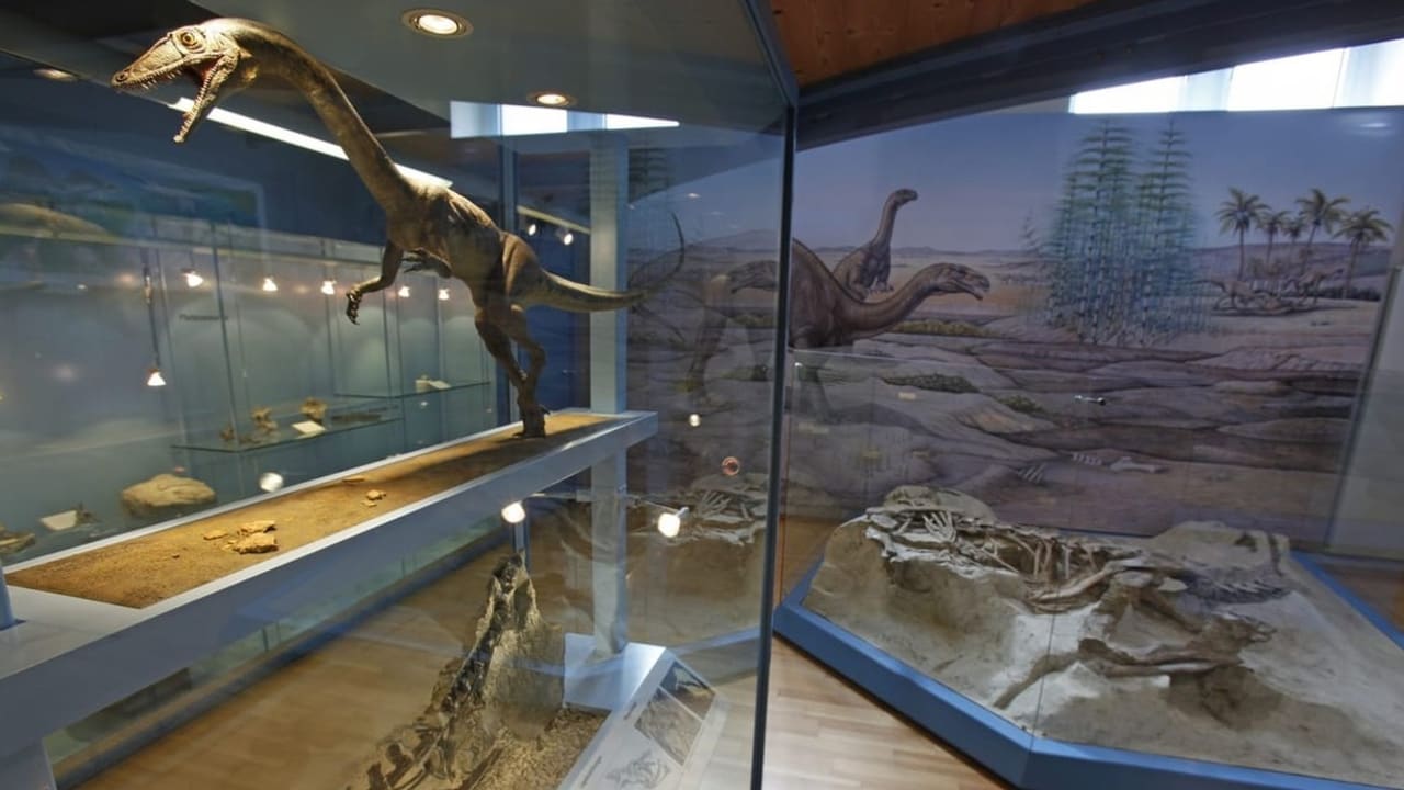 Auf den Spuren der Dinosaurier - Fünf Ausflüge für Dino-Fans - Radio ...