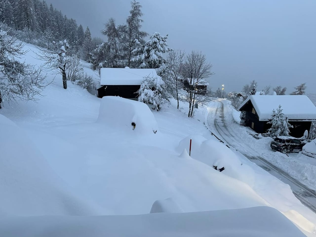 Neuschnee-Bilder - Die Schweiz wurde über Nacht eingeschneit - Meteo - SRF