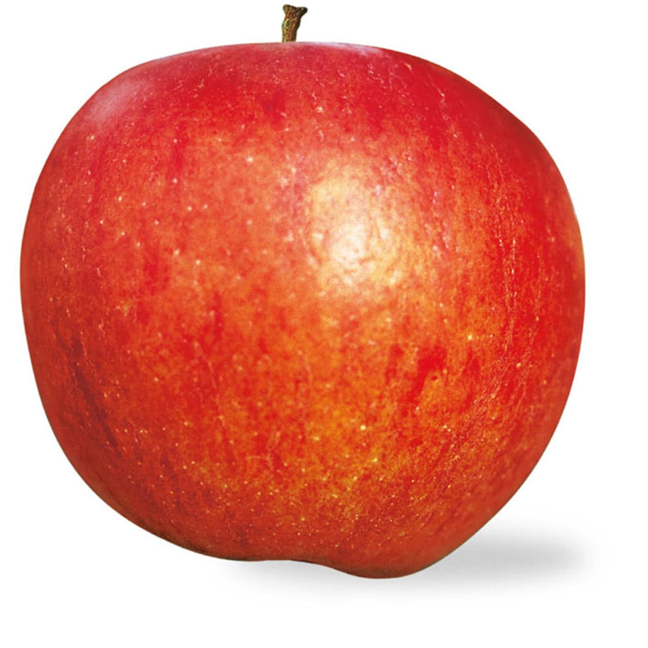 Die Apfel-Hitparade - Die Top 10 der beliebtesten Schweizer Apfelsorten ...