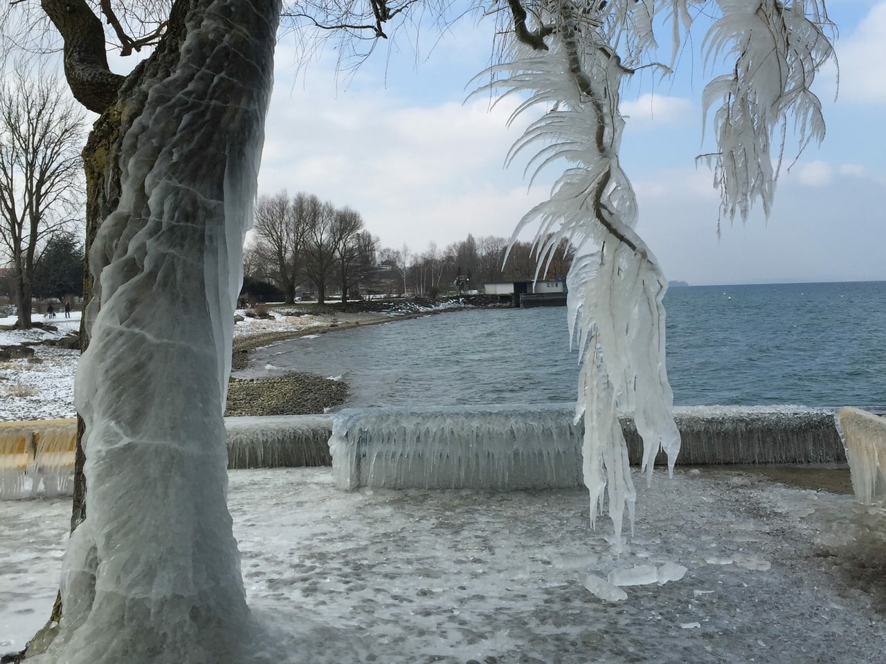 Wind im Mittelland - Die fiese Bise - Meteo - SRF