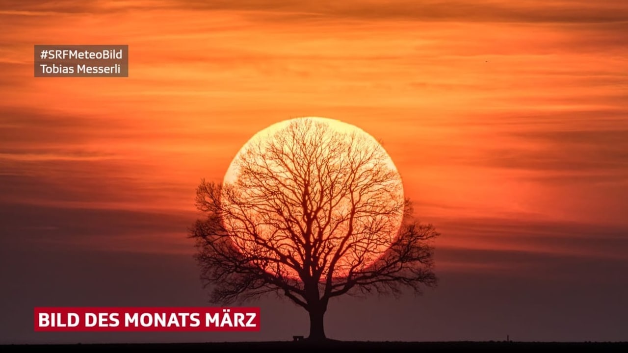 Bild des Monats - Das schönste Wetterfoto des März 2023 ist gewählt - Meteo - SRF
