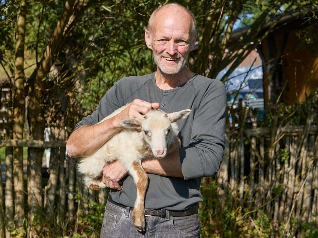 Seltene Kreuzung: In Norddeutschland kommt die Schiege Flumo zur Welt ...