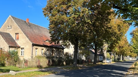 Feldheim in Deutschland - Ein Dorf trotzt der Energiekrise - News - SRF