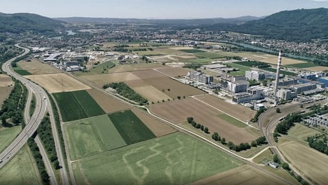 Bis zu 3000 neue Arbeitsplätze - Basler Biochemie-Firma Bachem ...