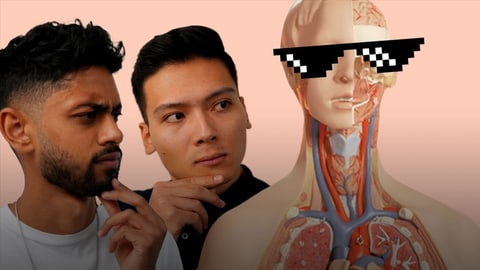 Puls Check – Wissen – SRF