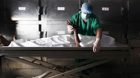 Forensik - Body-Farmen: Wo Leichen für die Wissenschaft verwesen ...