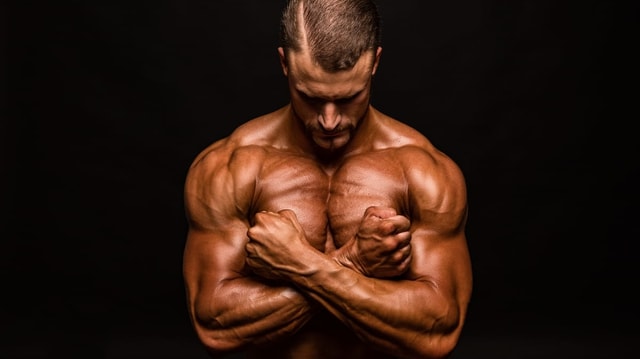 Sportgast - «Bodybuilding ist eine Kunst - du modellierst deinen Körper ...