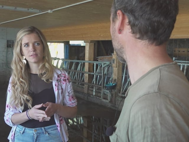 Kuhsignale lesen: Eine Wissenschaft für Tierwohl und Milchertrag - News - SRF