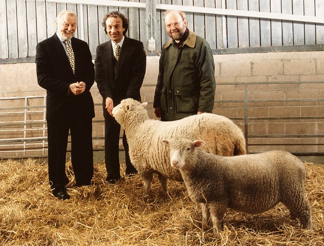 Panorama - 20 Jahre Klon-Schaf «Dolly» – was seither geschah - News - SRF