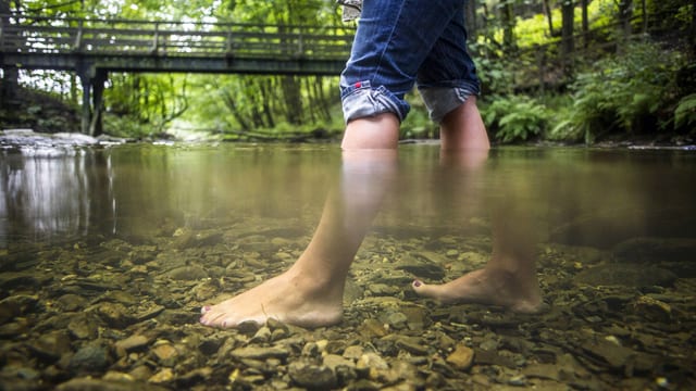 Kneippen – mehr als Wassertreten - Wissen - SRF