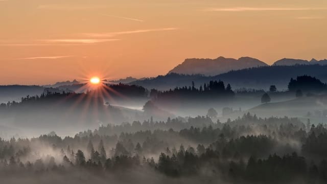 Goldenes Herbstwochenende - Die schönsten Bilder - Meteo - SRF