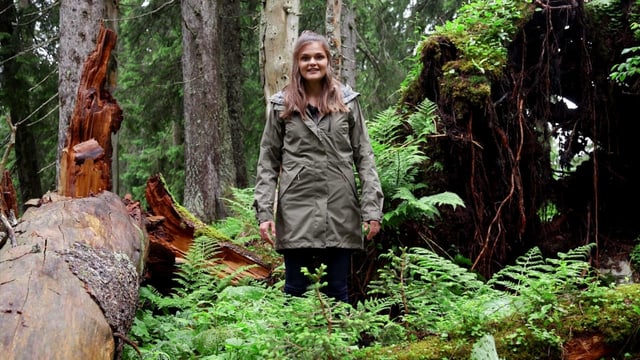 «Quiz der Woche» - Was weisst du über den Wald? - Kids - SRF «Quiz der Woche» - Was weisst du über den Wald? - Kids - SRF