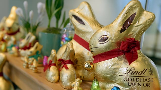 Solothurner Industrie - Lindt baut in Olten eine grössere Kakao-Fabrik ...