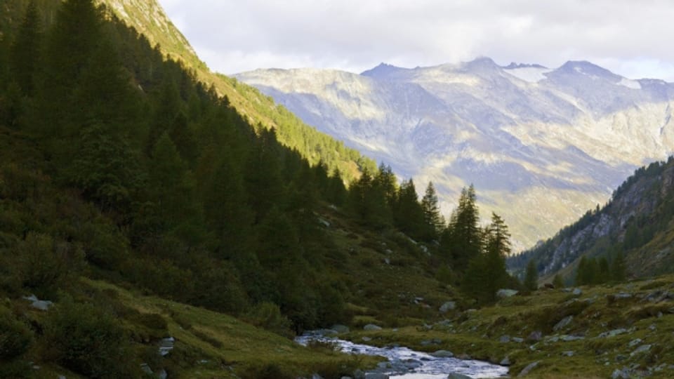 Parc Adula: «Und der Hund muss in den Rucksack?» - Regionaljournal ...