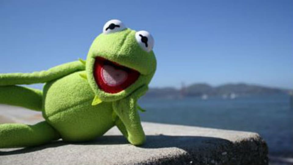 Heute vor 58 Jahren: Geburt von Muppet Kermit - Tageschronik - SRF