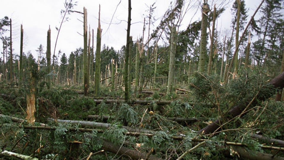 Heute vor 17 Jahren: Orkantief «Lothar» zieht über Westeuropa ...
