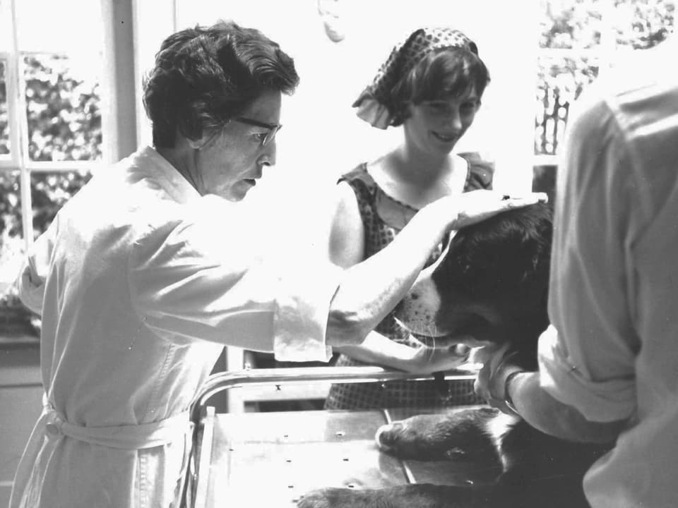 Vergessene Schweizer Pionierin - Eine Tierärztin zwischen Krieg ...