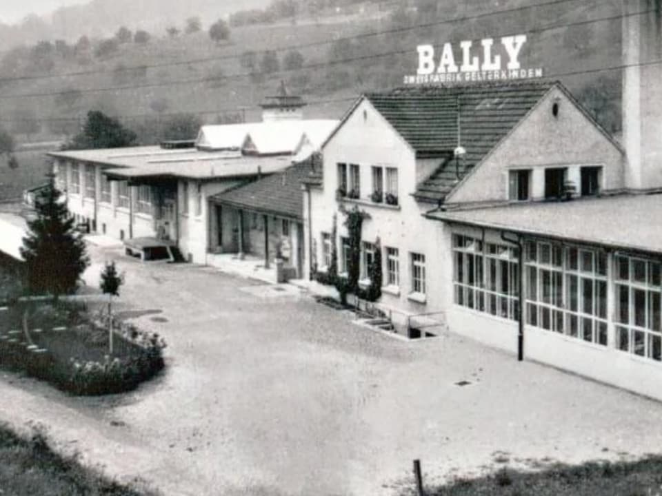 Tigerfinkli: Geschichte, Herkunft und Bedeutung des Kultschuhs - News - SRF