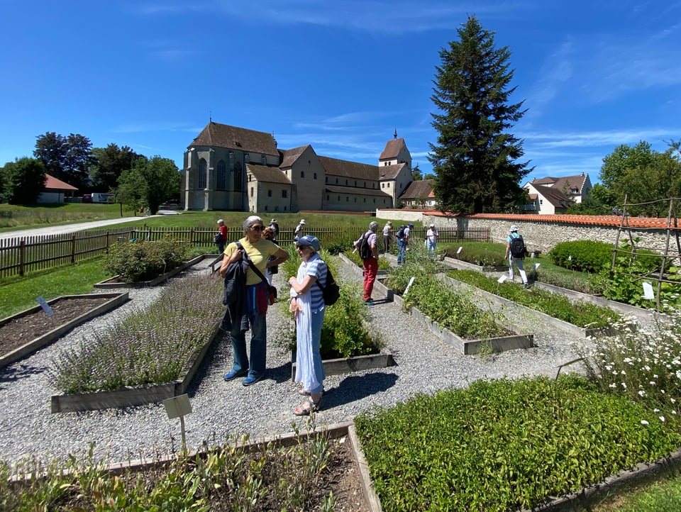 Spiritueller Reiseführer - Reif für die Insel: Reichenau ist ein ...