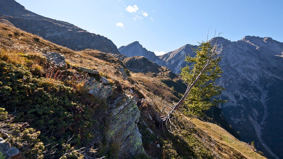 Parc Adula - Sustegn dal Tessin - Novitads - RTR