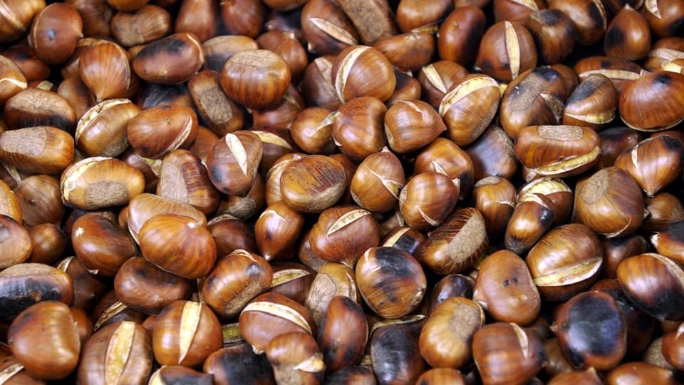«Heissi Marroni!» - Der Marroni-Duft kehrt in Freiburgs Strassen zurück ...