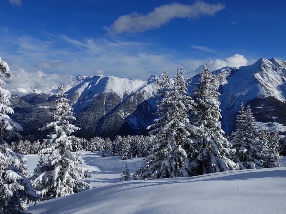 Neuschnee in den Alpen - Wie viel Schnee gab es und was kommt noch dazu ...