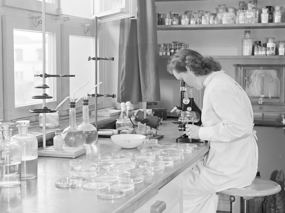 Vergessene Schweizer Pionierin - Eine Tierärztin zwischen Krieg ...