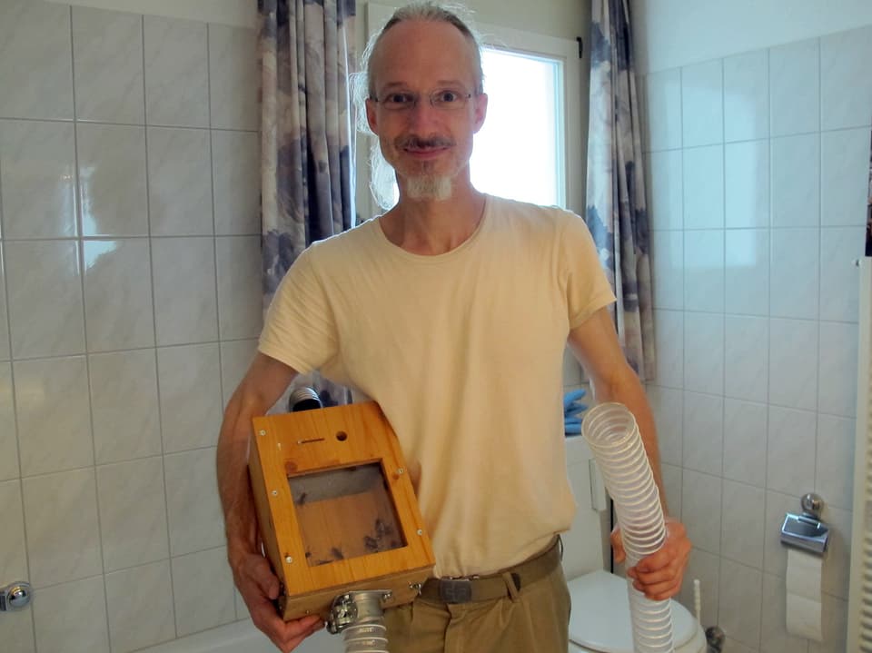 Zürich Schaffhausen - Voller Einsatz für die friedliebenden Hornissen ...