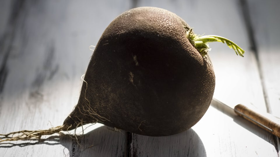 Schwarzer Rettich – Scharf und gesund - Wissen - SRF