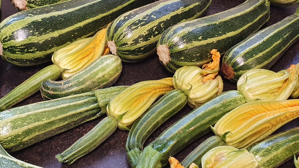 Zucchetti Rezepte - Wie das Allerwelts-Gemüse Zucchetti zur Delikatesse ...