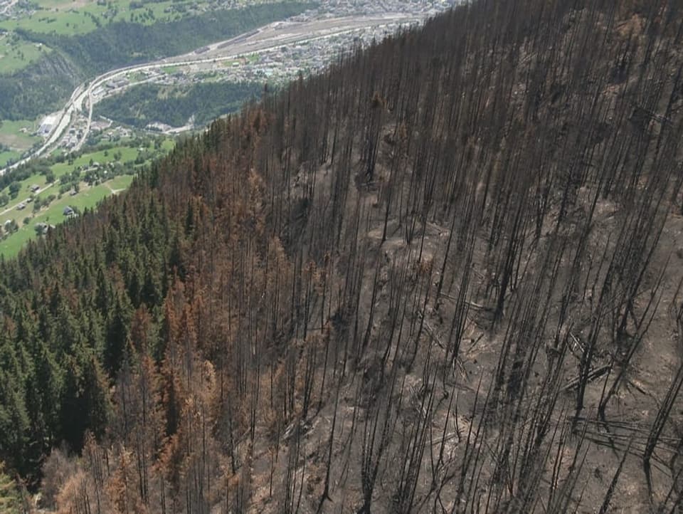 Fazit zu Löscharbeiten - Waldbrand Bitsch: Lage stabil, erneute Feuer ...