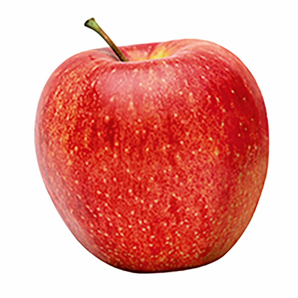 Die Apfel-Hitparade - Die Top 10 der beliebtesten Schweizer Apfelsorten ...